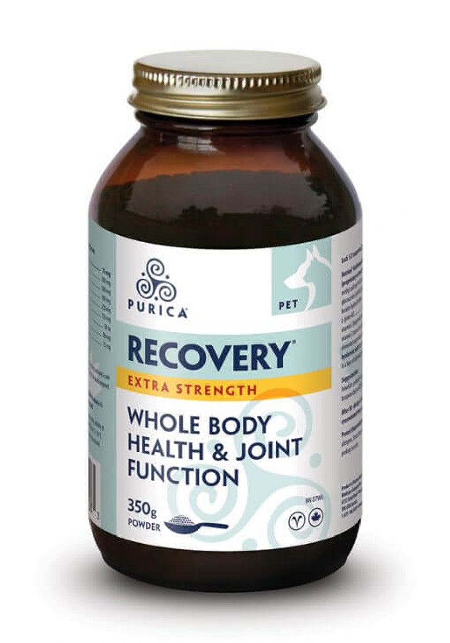 Recovery Extra Strength 350g Powder | Ace's K-9 Care